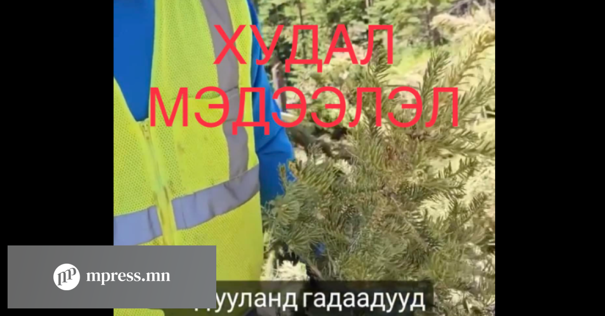 Гадаадын иргэд Богд ууланд бус АНУ-д барилга барьж байжээ