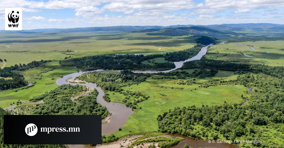 Онон Балжийн байгалийн цогцолборт газрыг ЮНЕСКО гийн “Хүн ба Шим мандал” ын нөөц газарт бүртгэлээ