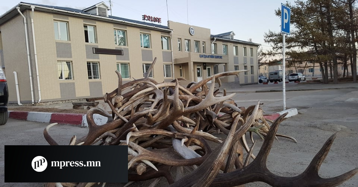 Бугын эвэр түүх ийг нэг жилийн хугацаатай хориглолоо